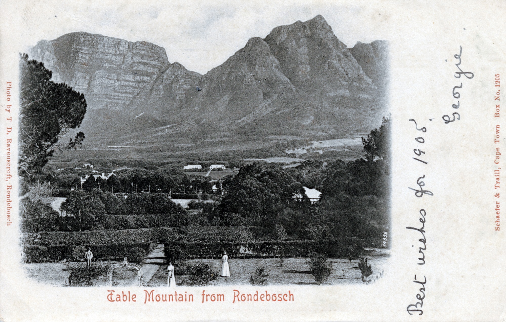 Rondebosch Tour - Cape Town Heritage Tours